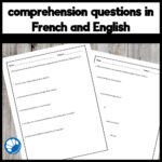 Le Bazar de la Charité French reading comprehension activity